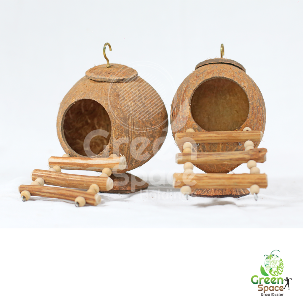 Coco Reptile Nest With A Ladder » Green Space Holdings