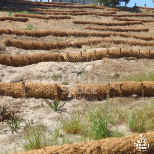 Green Space Biologs/Waterlogs » Green Space Holdings