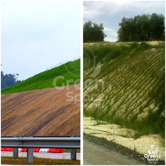 Green Space Hydro – Mulch Mix » Green Space Holdings