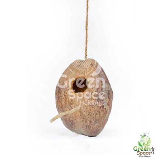 Whole Coco Bird Nest » Green Space Holdings