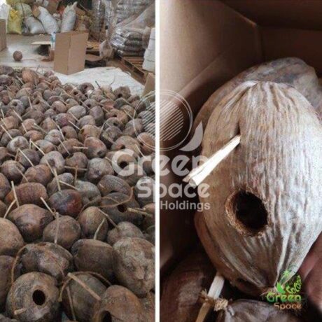 Whole Coco Bird Nest » Green Space Holdings